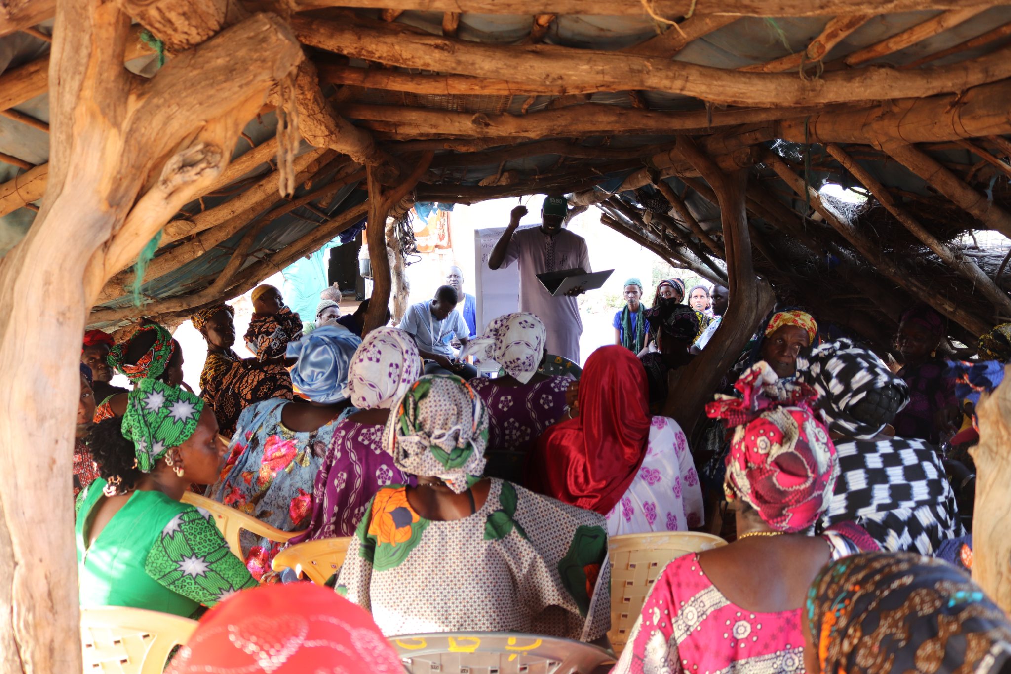 New CGIAR Evidence Sets Out Blueprint for a Low-Carbon, Regenerative and Equitable Food System ...