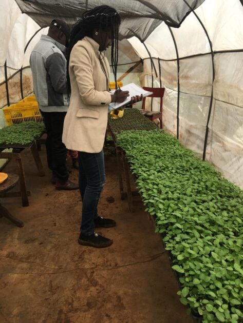 Farmers’ Preferences for Climate-Resilient Potatoes in Kenya | CGIAR System