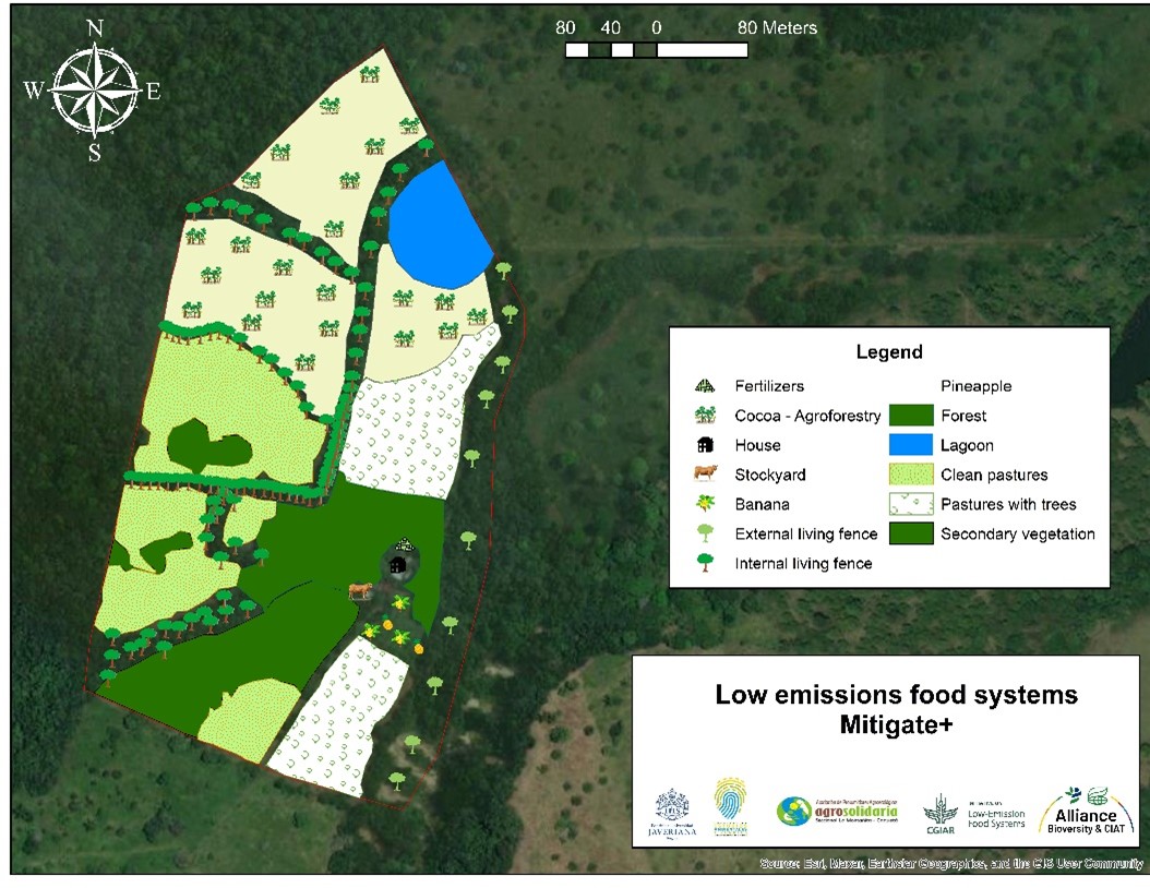Main Agroecological Structure (MAS) as a Tool for Resilient Farm ...