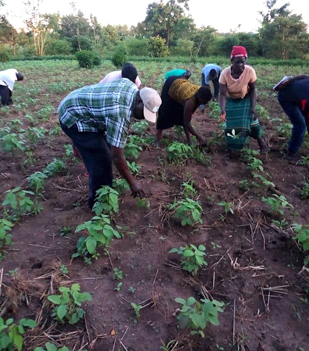 CGIAR Food Systems Accelerator Entrepreneur Spotlight: Transforming ...