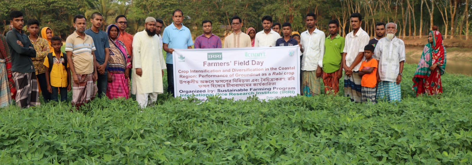 Unlocking the Potential of Fallow Lands: Crop Diversification in ...